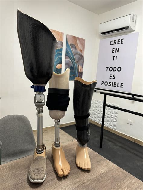 Fabricantes 💡𝗖𝗼𝗻𝗼𝗰𝗲 𝗲𝘀𝘁𝗼𝘀 𝟯 𝘁𝗶𝗽𝗼𝘀 𝗱𝗲 𝗽𝗿𝗼́𝘁𝗲𝘀𝗶𝘀 𝗱𝗲 𝗽𝗶𝗲𝗿𝗻𝗮 1