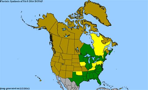 2013 Bonap North American Plant Atlas Taxonmaps