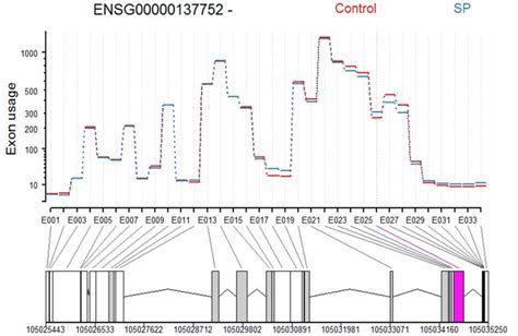 transcript model of the differential exon usage within casp1 in