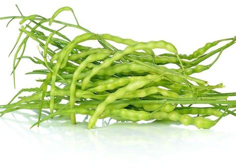 Natural Mogri Seeds For Sowing At Rs 30 In Bhiwani Id 7172517 Geeta Seeds Corporation