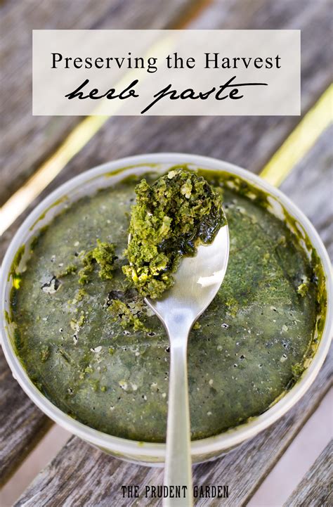 Preserving The Harvest Herb Paste