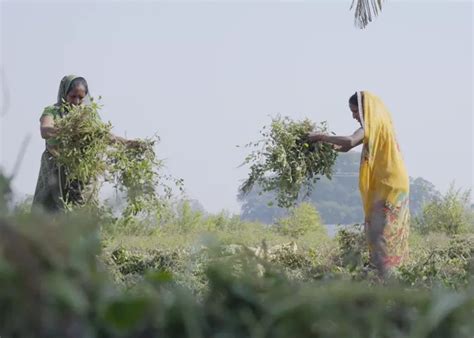 Sustainability And Traceability Examined Interview With An Expert