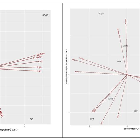 Principal Component Pc Biplot Showing The Percentage Of Variance Download Scientific Diagram