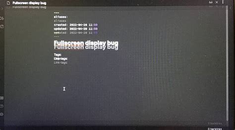 Full Screen Display Bug Text Duplicating Ghosting Bug Reports