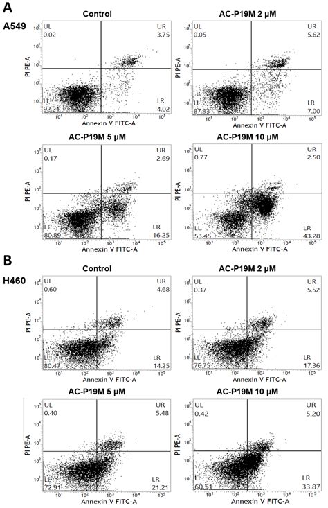 De Novo Design Of Ac P19m A Novel Anticancer Peptide With Apoptotic