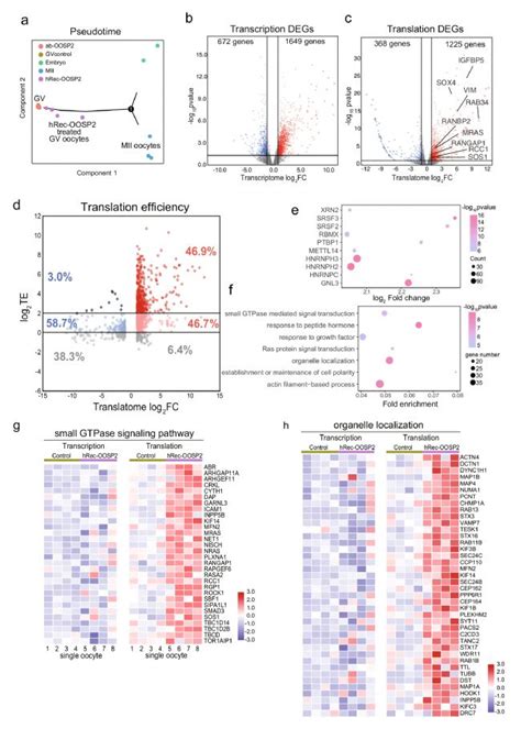 单细胞多组学再发力！揭秘人卵母细胞成熟的潜在机制生物器材网