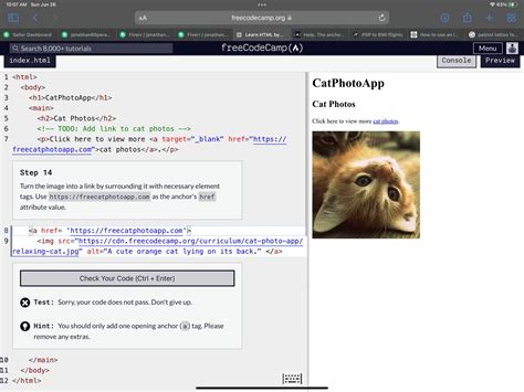 Help The Anchor Image Keeps Disapearing Html Css The Freecodecamp Forum