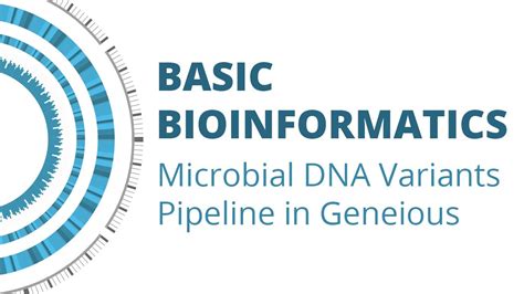 Basic Bioinformatics Microbial Dna Variants Pipeline In Geneious Youtube