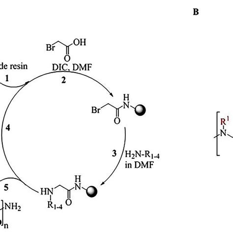 Peptoid Synthesis A Submonomer Synthesis Of Peptoids B General