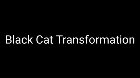 Cat Transformation Porn Videos Clips4sale