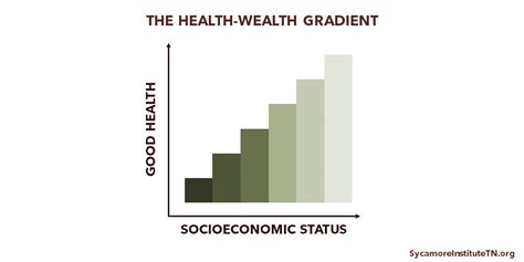 The Socioeconomic Determinants Of Health