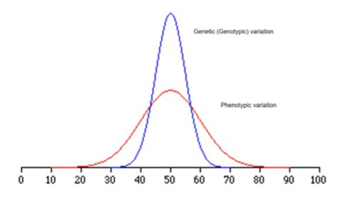 Selective Breeding Flashcards Quizlet