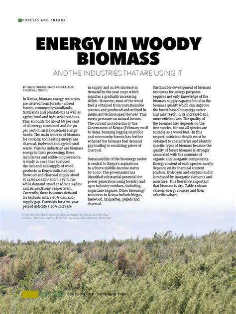 Energy In Woody Biomass 2020 Pdf