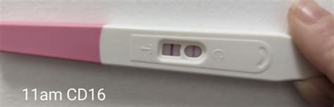 Show Me Your Ovulation Progression Lines Mumsnet