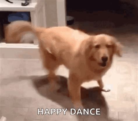 Excited Dog  Excited Dog Happy S Entdecken Und Teilen