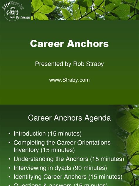 Career Anchors Presented By Rob Straby Pdf Competence Human