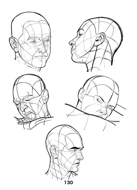 Human Head Drawing Reference