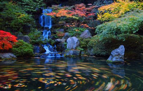Zen Garden Wallpaper