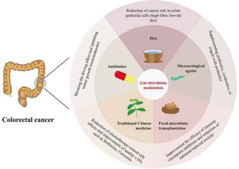Overview Of Candidates For Gut Microbiota Modulation For The Prevention