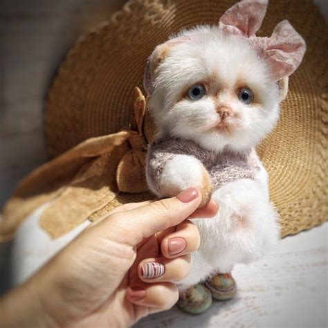Toy Stuffed Cat White Kitten Plump Kitten Dressed Cat In Shoes Cute