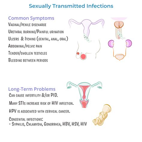 Immunology Microbiology Glossary Sexually Transmitted Infections