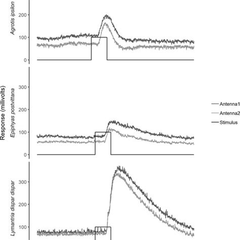 Portable Electroantennogram Units Showing An Individual Unit With The