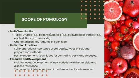 Pomology And Orchard Management Study Of Fruits Pdf