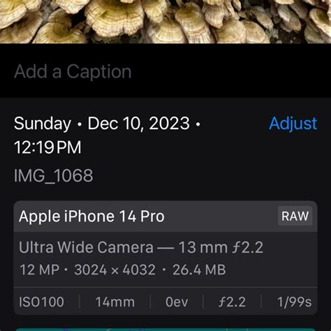 photo load error icloud couldn t communicate with a helper app bug