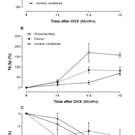 Pdf Ovariectomized Rat Model Of Osteoporosis A Practical Guide