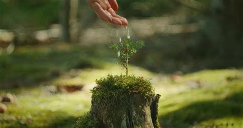 Tiny Planet Stock Footage Royalty Free Video Clips Storyblocks