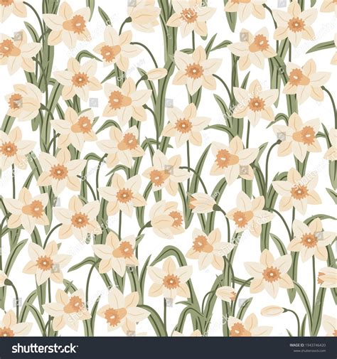34 Daffidil 이미지 스톡 사진 및 벡터 Shutterstock