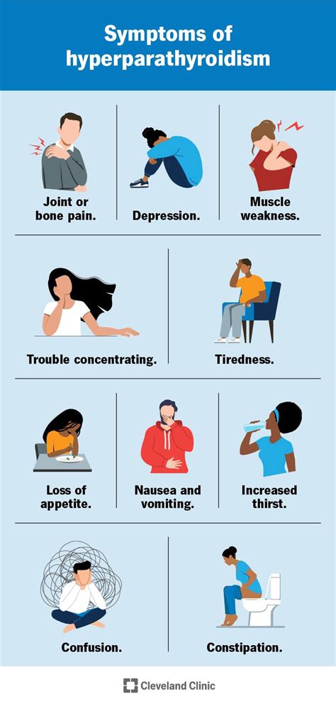 Best 13 What Is Hyperparathyroidism Artofit