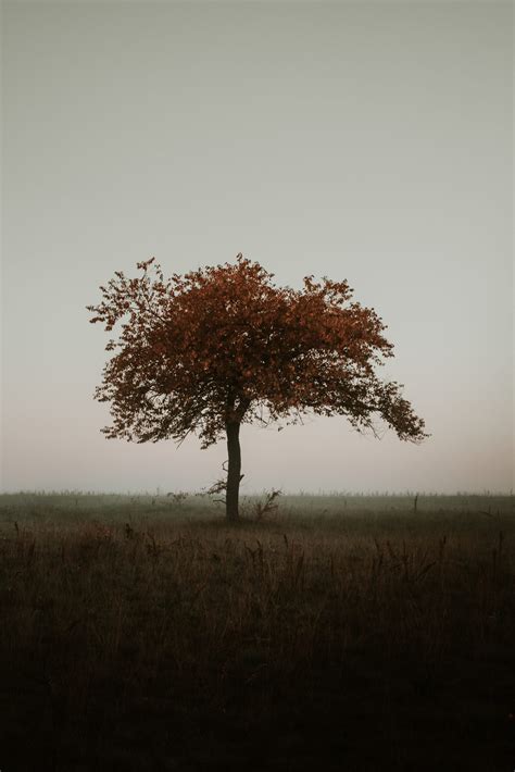 Landscape Photography Michael Scorr Photography