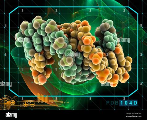 Dna Rna Hybrid Molecule Molecular Model Of A Hybrid Dna Rna Duplex