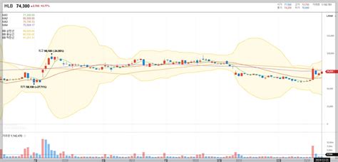 Hlb 주가 전망 배당금과 목표 주가 분석