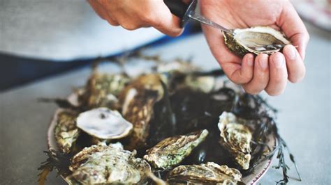 Potentially Deadly ‘paralytic Shellfish Warning In Major Australian