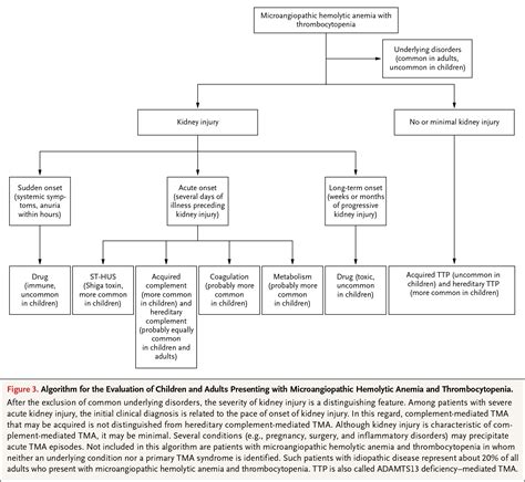 Thrombocytopenia Amboss Rotation Prep