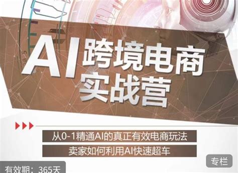 白龙老师·ai跨境电商实战营：从0 1精通al的真正有效电商玩法，卖家如何利用al快速超车 学满屋