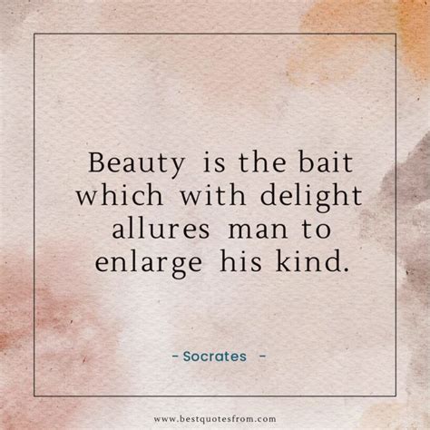 Heartfelt 51 Socrates Quotes On Love Wisdom From An Ancient Sage