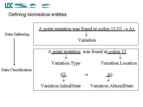 Molecular Entity Types Phenotypic Entity Types Gene Differentiation