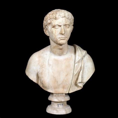 Retrato de un hombre joven Colección Museo Nacional del Prado