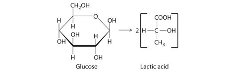 Lactic Acid Fermentation Equation