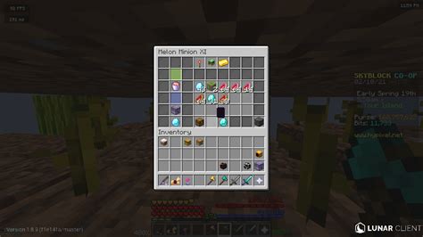 Does Melon Minion Drop By Rng Rhypixelskyblock