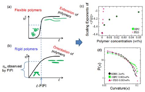 The Extensional Strain Rate Effects On Polymer Elongation Or Polymer