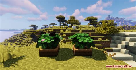 Kubbans Saplings Resource Pack 1192 1182 Texture Pack Mc