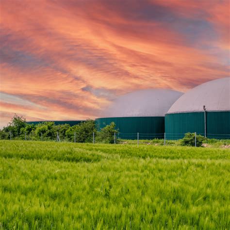 The Environmental Product Declaration Pallet Central Enterprises