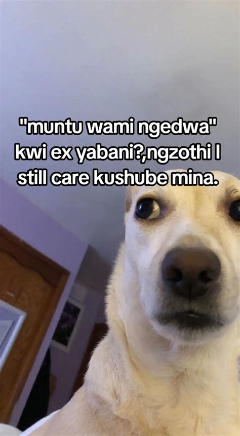 😎 Syamthanda Fyppppppppppppppppppppppp Viraltreendingvideo Sama Tiktok