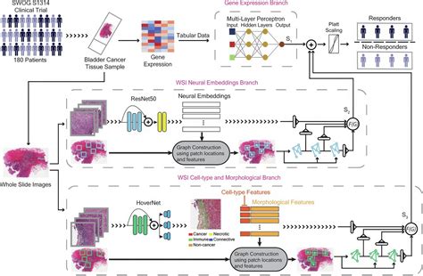 Dr Ganapathi Pulipaka Top Datascience Books To Read Bigdata Analytics Ai