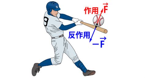 作用反作用の法則とは？例を用いて丁寧に解説してみた｜高校生向け受験応援メディア「受験のミカタ」
