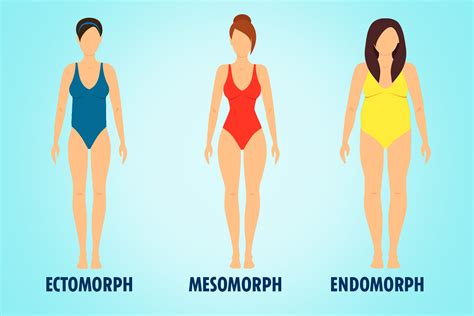 Female Body Types Endomorph